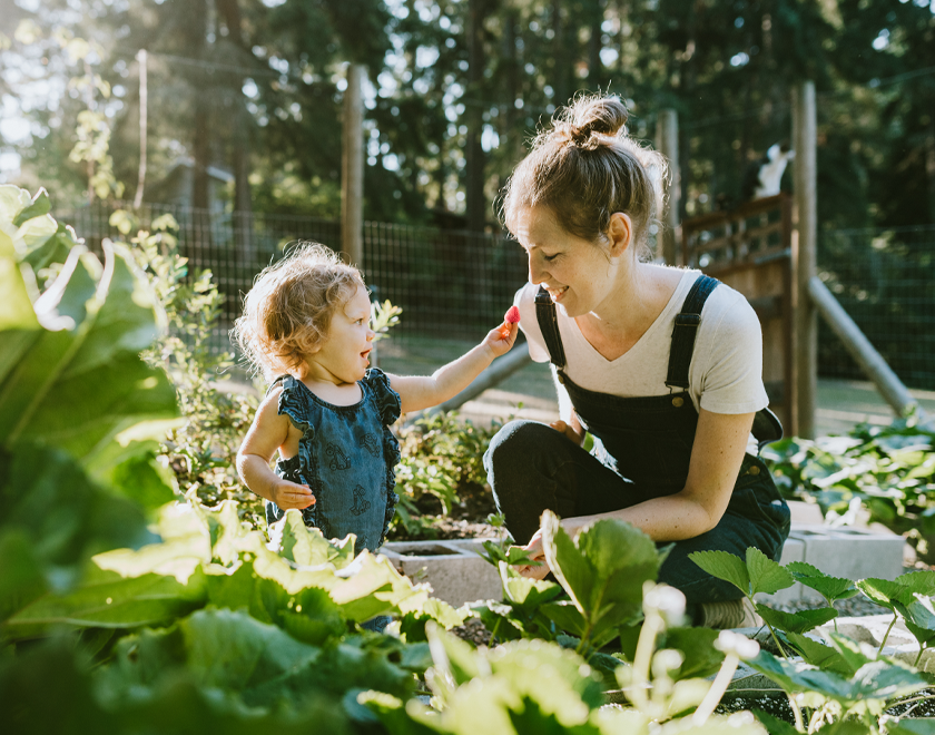 ROSA® Brain Robotic-Assisted Brain Surgery Patient Information