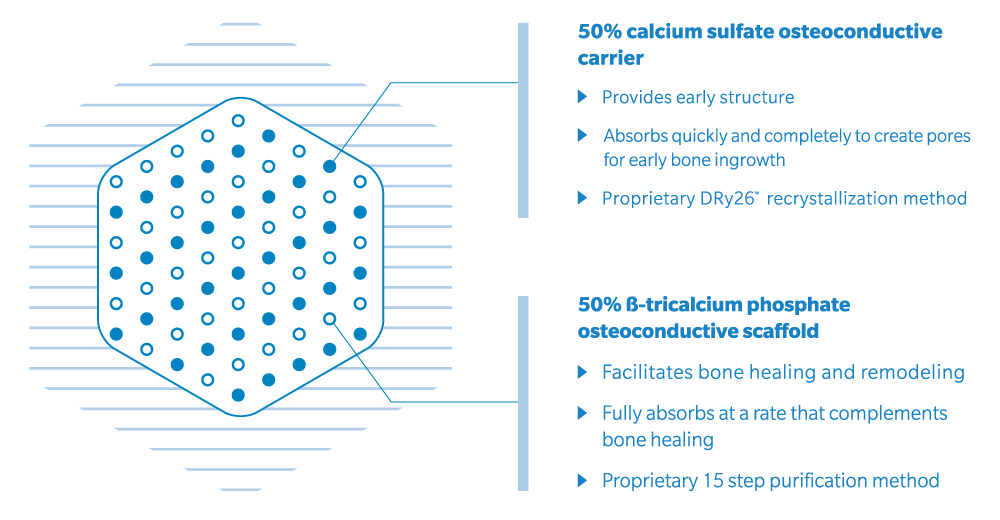 genex® Bone Graft Substitute | Zimmer Biomet