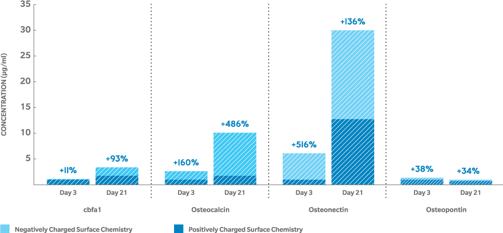 genex® Bone Graft Substitute | Zimmer Biomet