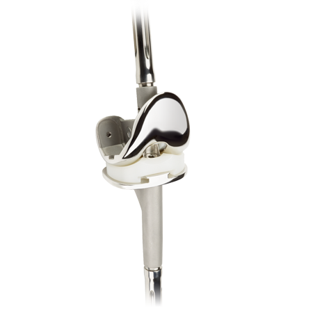 NexGen® Legacy® Constrained Condylar Knee (LCCK)