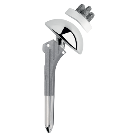 Shoulder Replacement Products | Zimmer Biomet