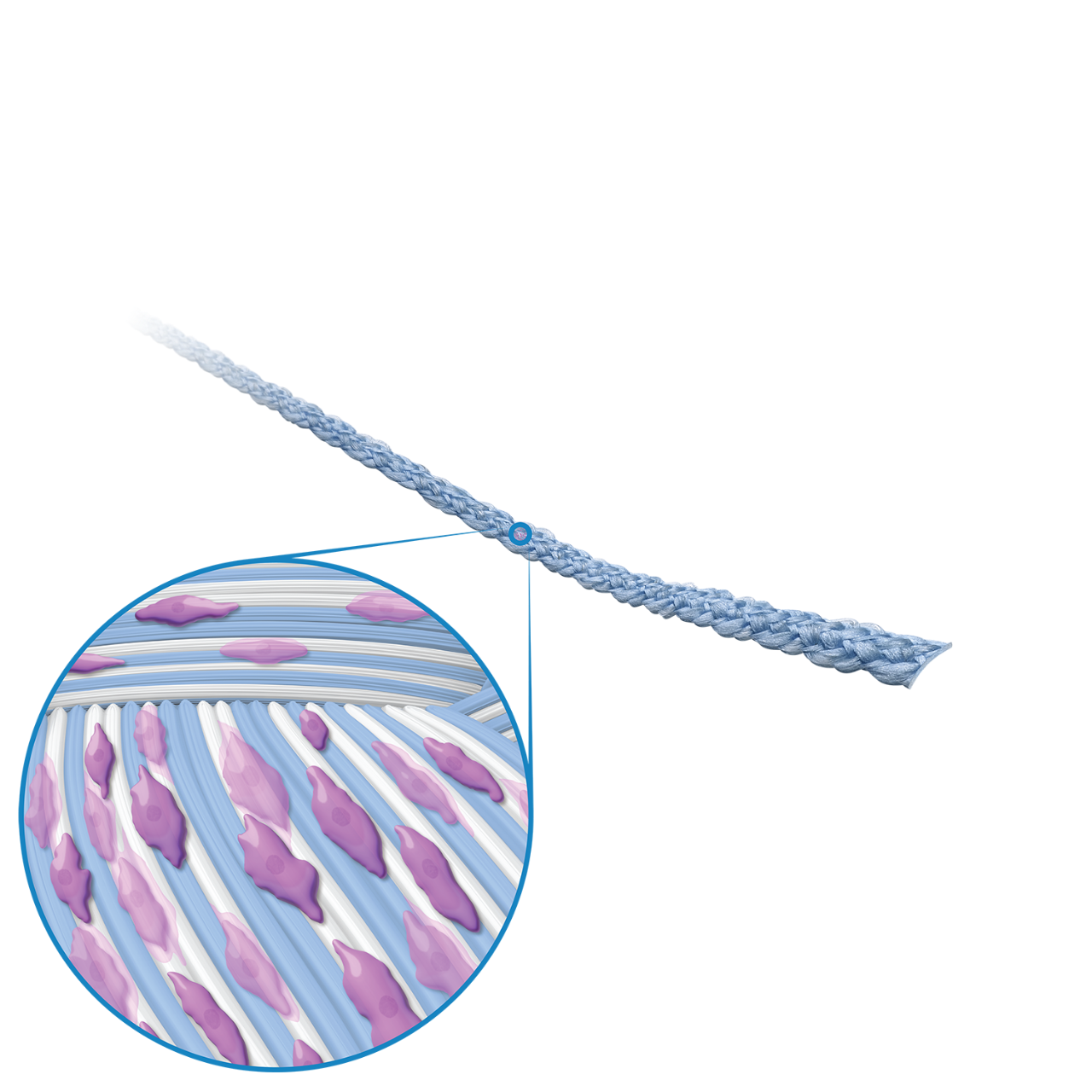 ActivBraid™ Collagen Co-Braid